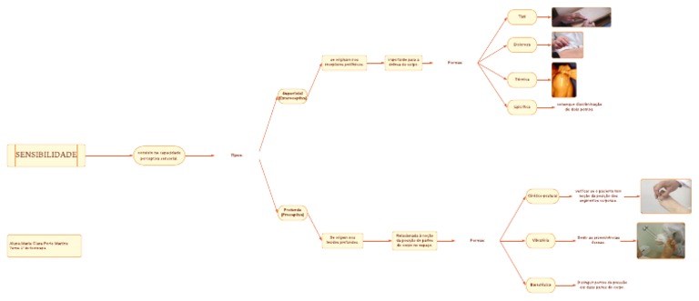 Tipos de Sensibilidade | PDF | Neurociência