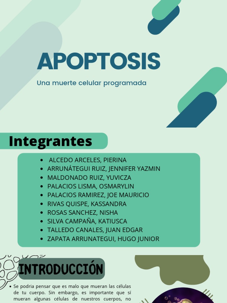 APOPTOSIS | PDF | Salud y bienestar | Ciencia y matemáticas
