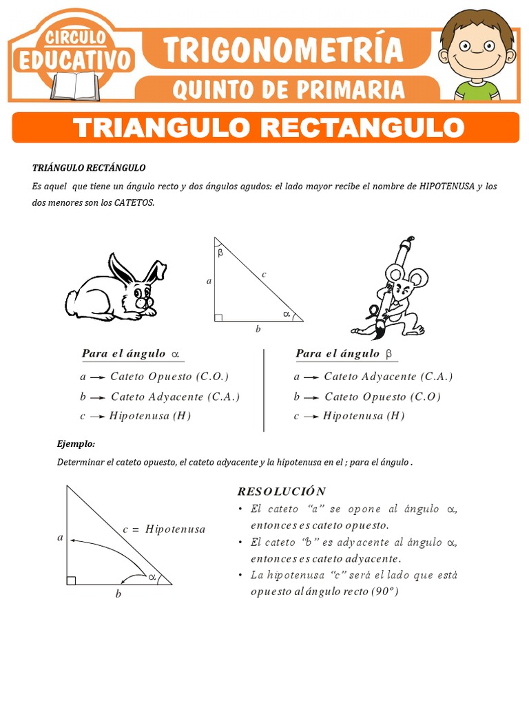 Triangulo Rectangulo para Quinto de Primaria | PDF | Geometría del plano euclidiano | Matemática ...