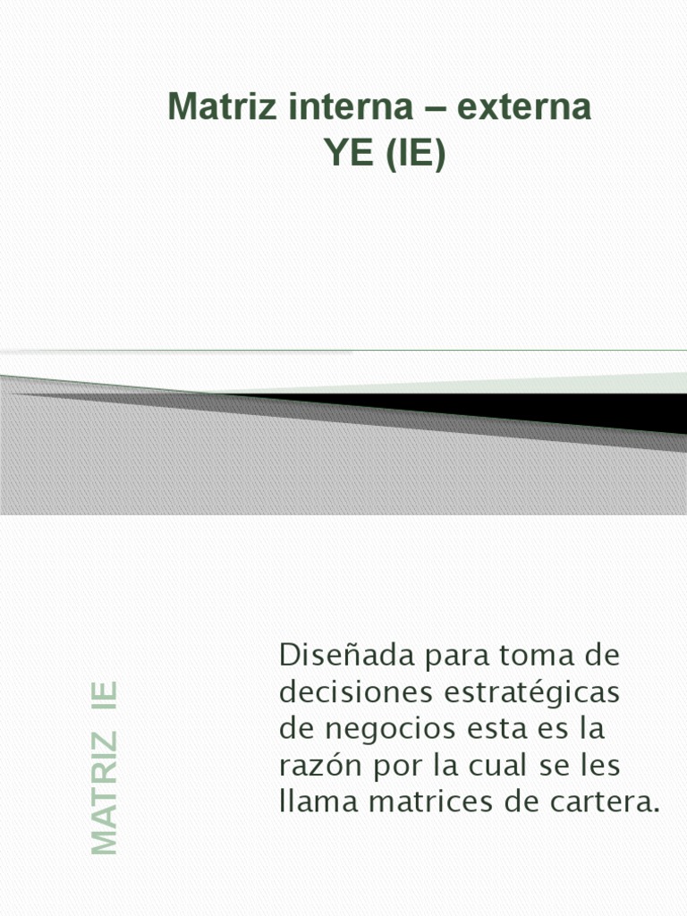 Matriz Interna y Externa | PDF