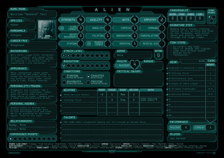 Custom RPG Character Sheet Template | PDF