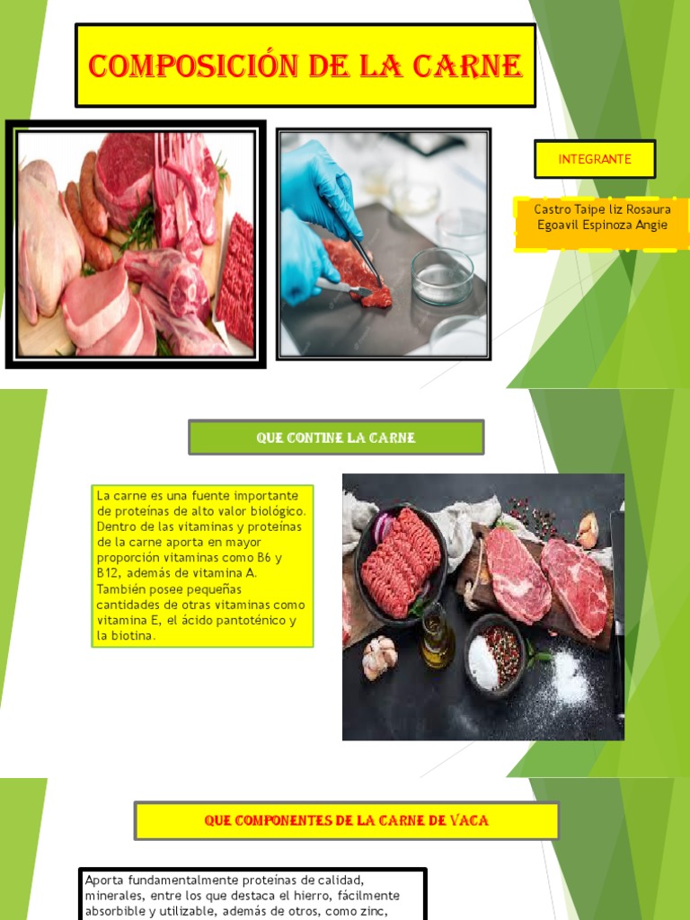 Composición y beneficios de la carne | PDF