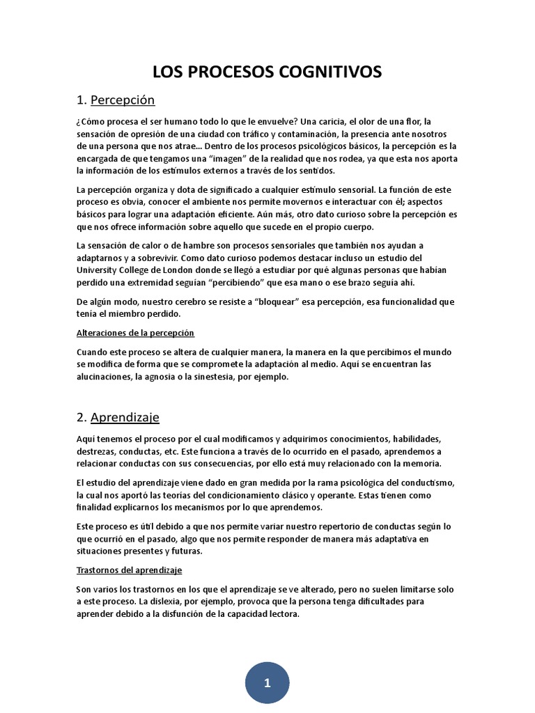Los Procesos Cognitivos Pdf Percepción Memoria