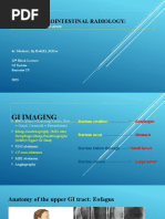 Totilac | PDF | Lactic Acid | Intravenous Therapy