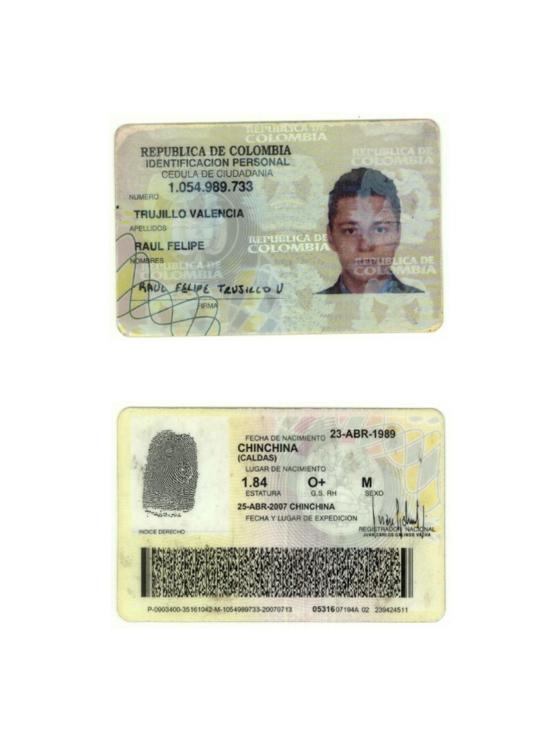 Cedula RL UT ALIMENTANDO FUTURO - Felipe Trujillo | PDF