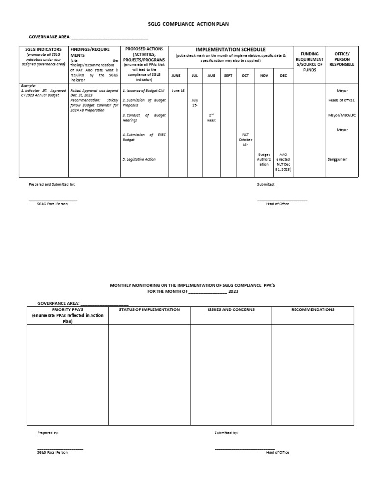 SGLG Action Plan Form 1 | PDF