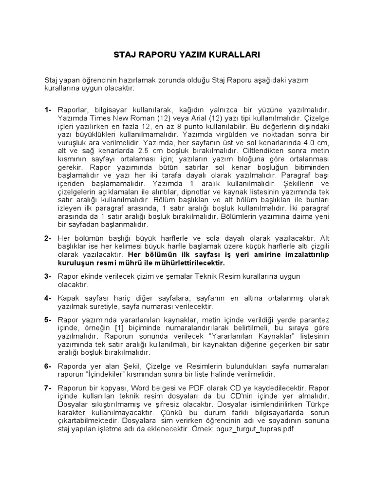 Staj Raporu Formati | PDF