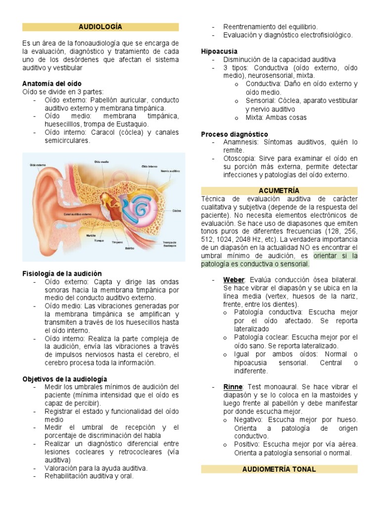 Teórica - Audiología | PDF | Oído | Escuchando