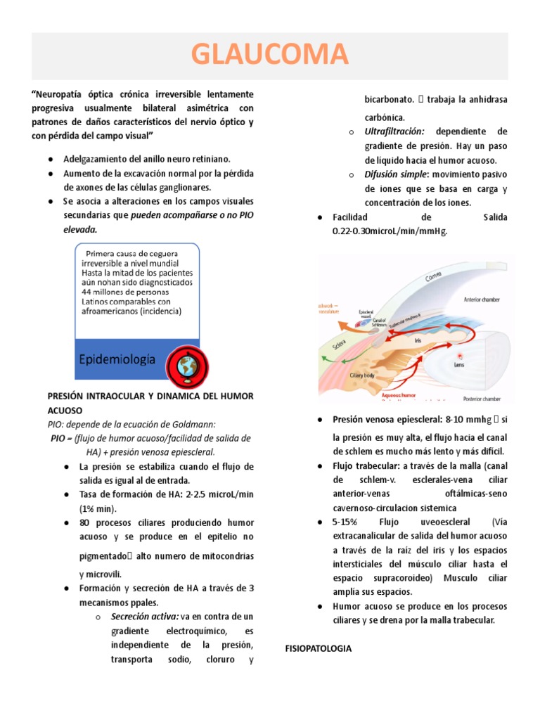 Glaucoma 2021 Pdf Glaucoma Oftalmología