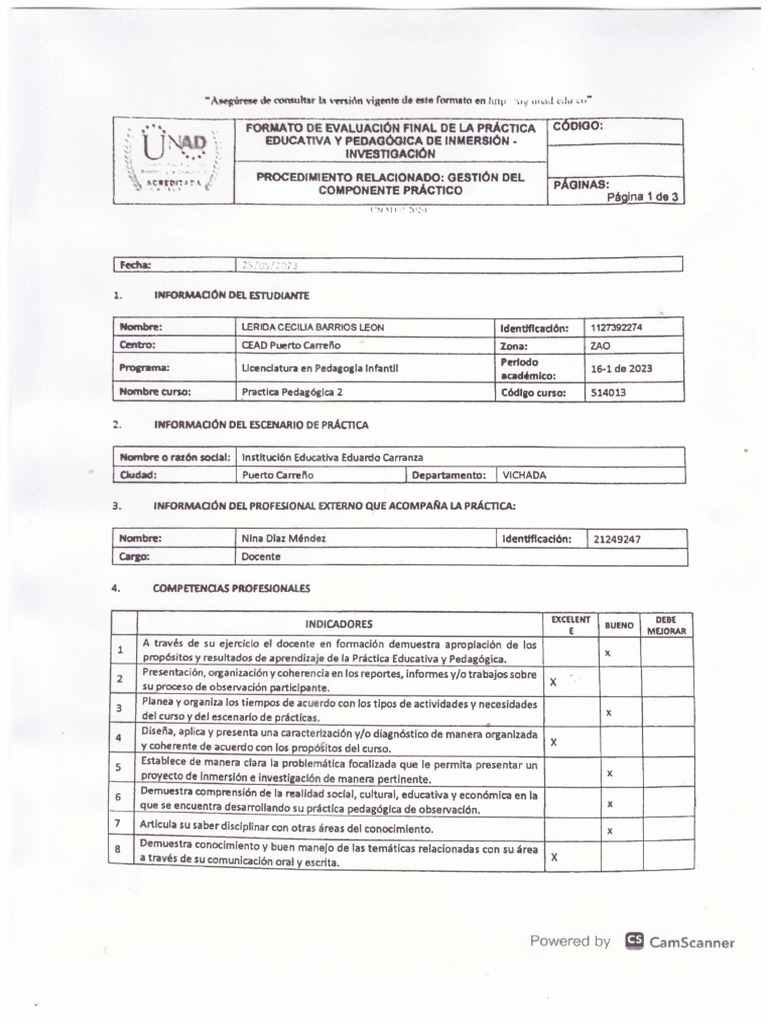 Formato de Evaluación Final | PDF