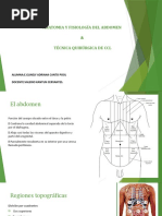 Sigmoidectomía Laparoscópica: Técnica y Equipo | PDF | Intestino grueso ...