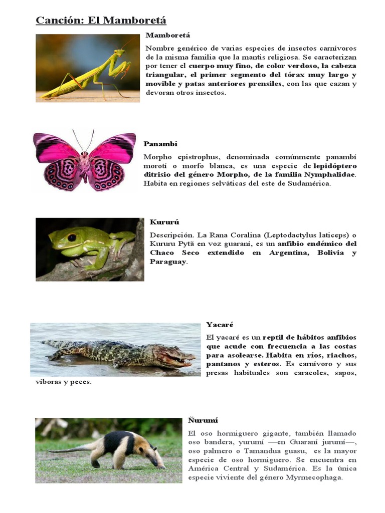 El Mamboretá | PDF