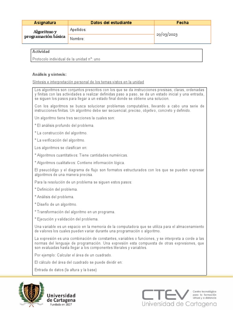 Protocolo Individual | PDF | Algoritmos | Programación de computadoras