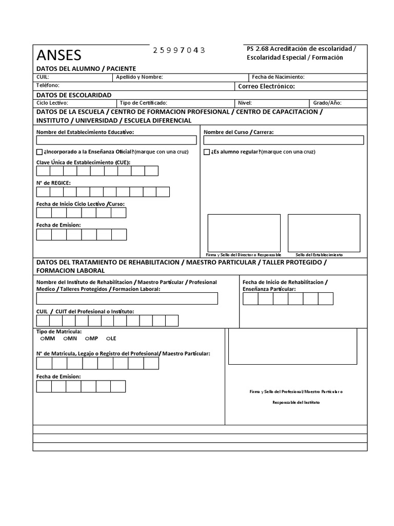 Planilla Datos Anses | PDF