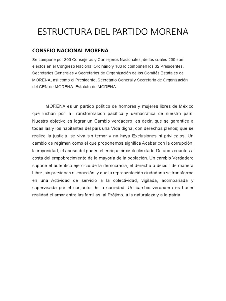 Estructura Del Partido Morena | PDF