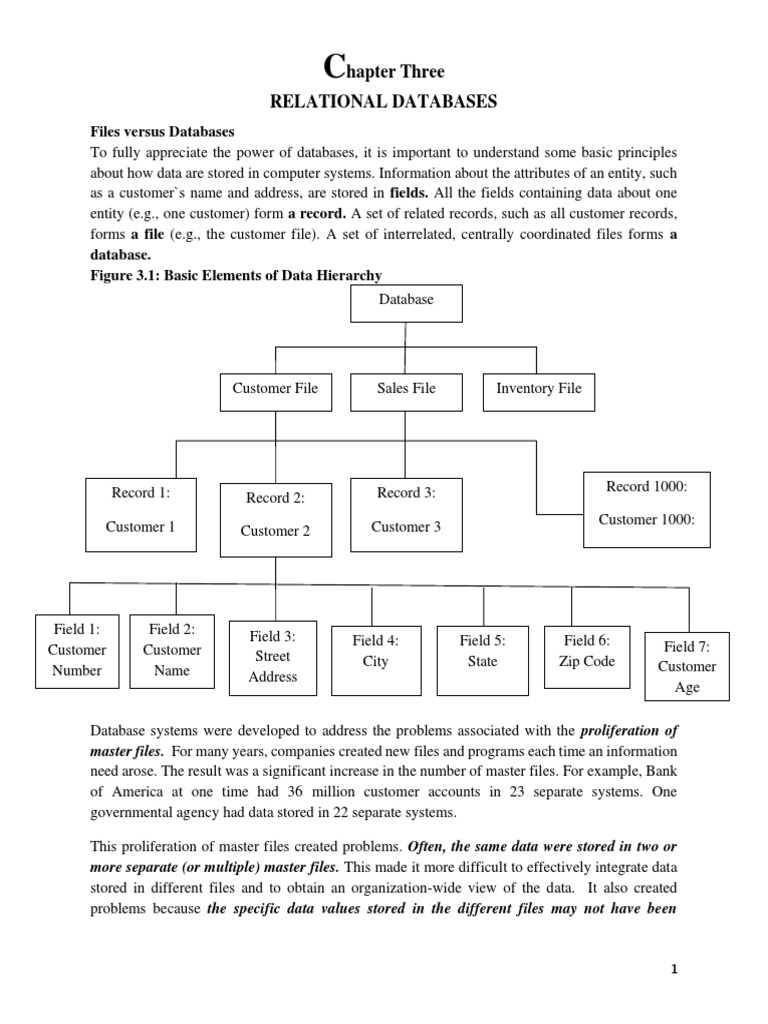 AIS - Chapter 3 Relational Database | PDF | Databases | Relational Model