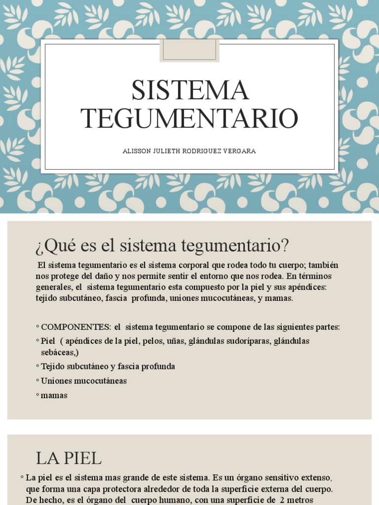 Sistema Tegumentario 1 | Descargar gratis PDF | Piel | Sistema tegumentario