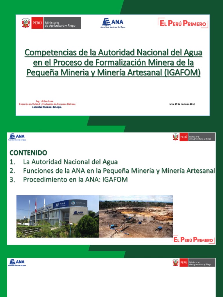 Funciones ANA Proceso Formalizacion Minera Integral | PDF | Minería | Agua