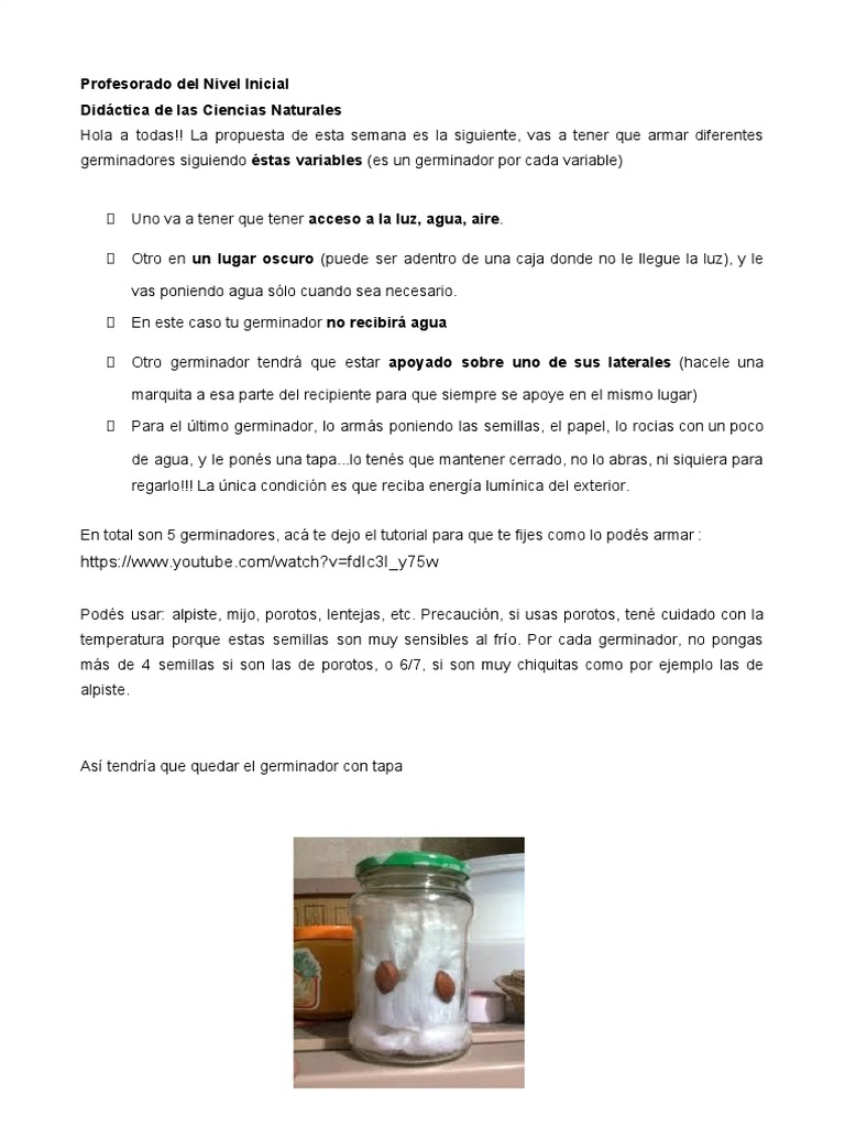 Cómo Hacer Germinadores para Niños | PDF | Semilla