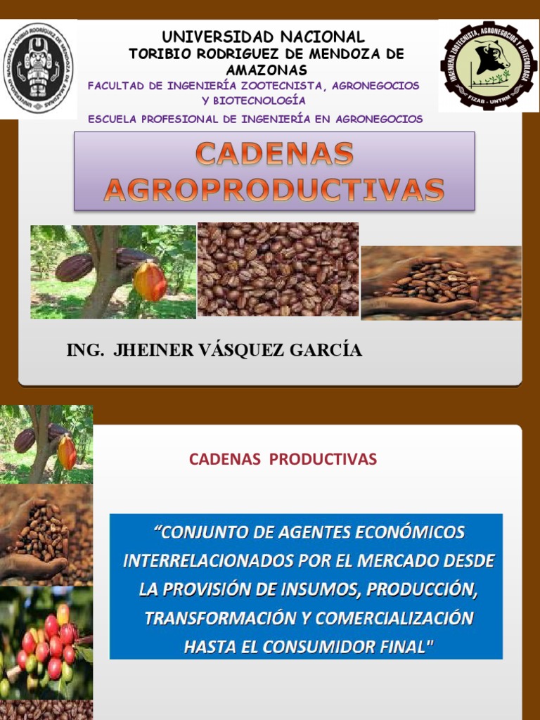 Gestión de Cadenas Productivas | PDF | Mercado (economía) | Agricultura