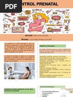 Place Diada Fetal | PDF | El embarazo | Parto