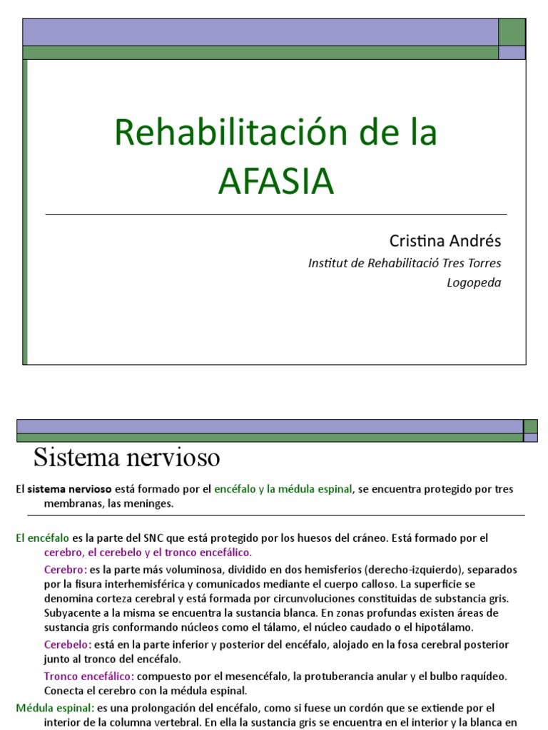 Rehabilitacin de La AFASIA | PDF | Sistema nervioso central | Carrera