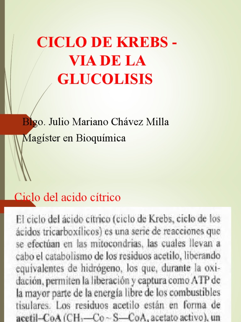 Ciclo de Krebs y Via de La Glucolisis Fizab 2023 I | PDF