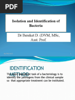Api Rapid 20e | PDF | Organisms | Microbiology