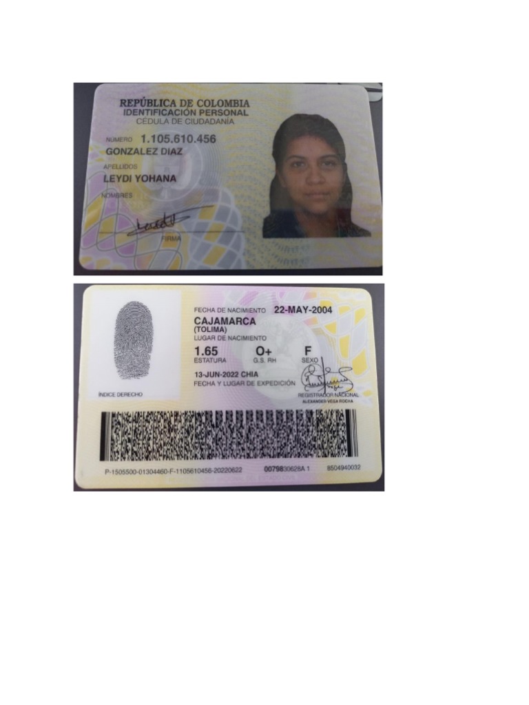 Documento de Identidad | PDF