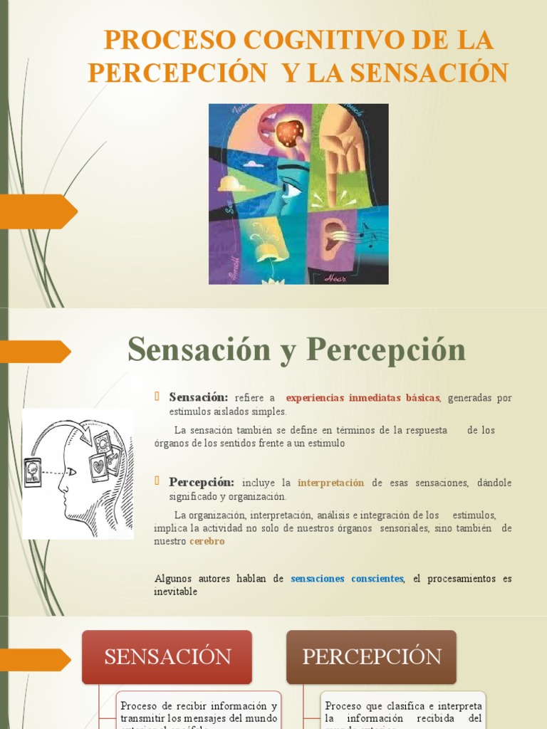 Proceso Cognitivo de La Percepcion y La Sensacion | PDF | Percepción | Procesos mentales