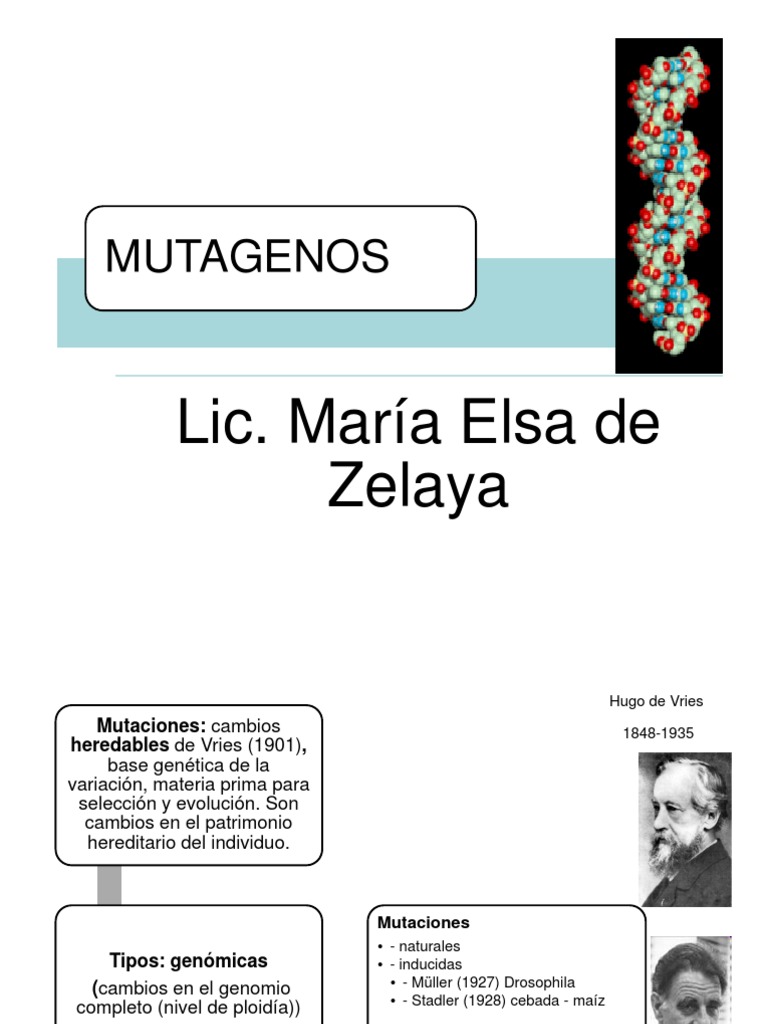 Mutageno | PDF