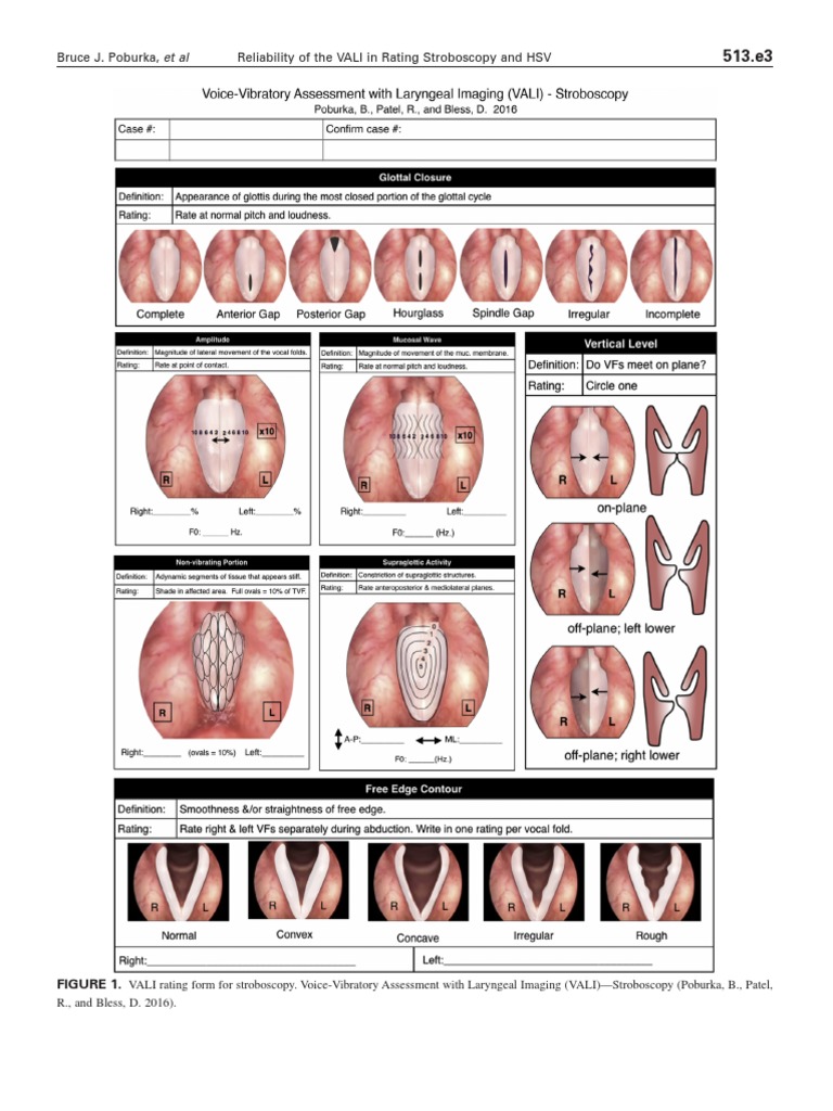 Voice Vibratory Assessment and Laryngeal Imaging VALI Videostroboscopy Rating Form | PDF