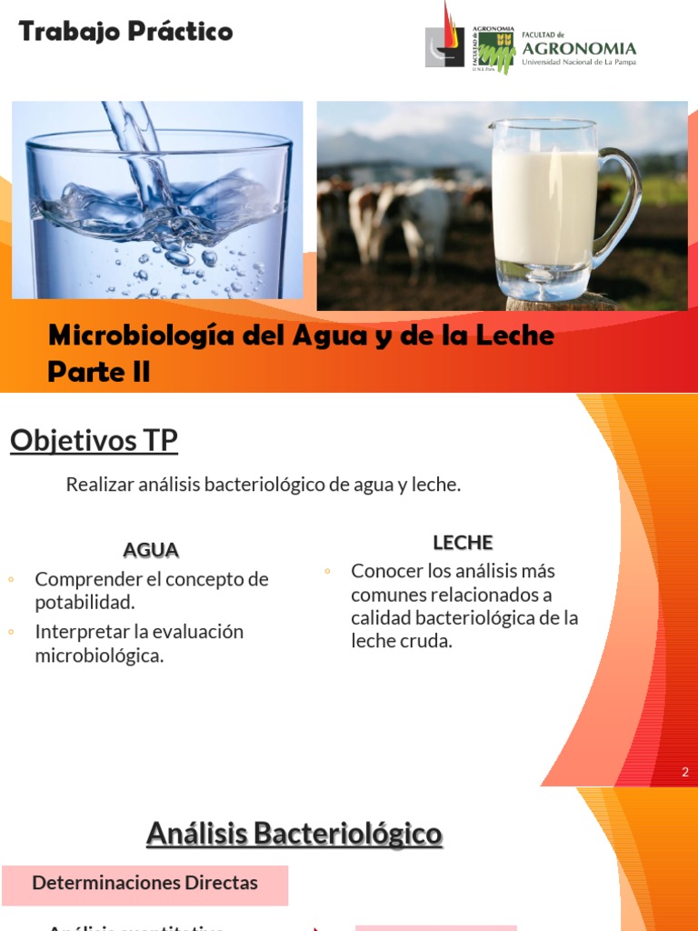 TP Microbiología Leche y Agua II | PDF | Leche | Agua