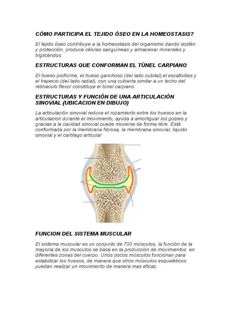Medicina | PDF