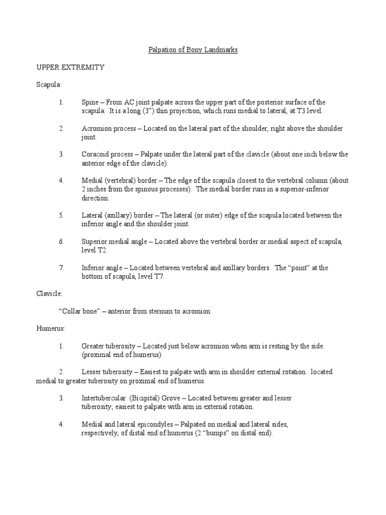 Palpation Guide for Bony Landmarks | PDF | Anatomical Terms Of Location ...