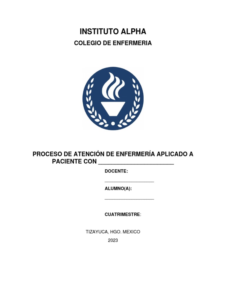 Formato Pae para Proyecto Final | PDF