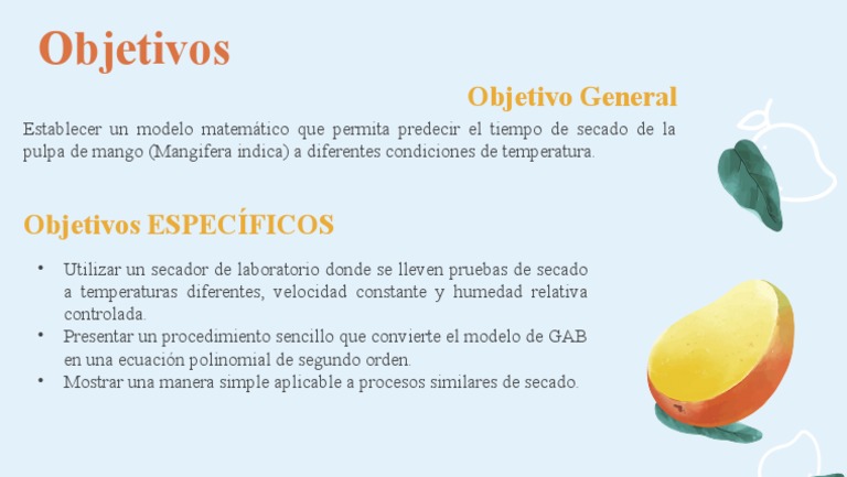 Objetivo General y Especificos | PDF