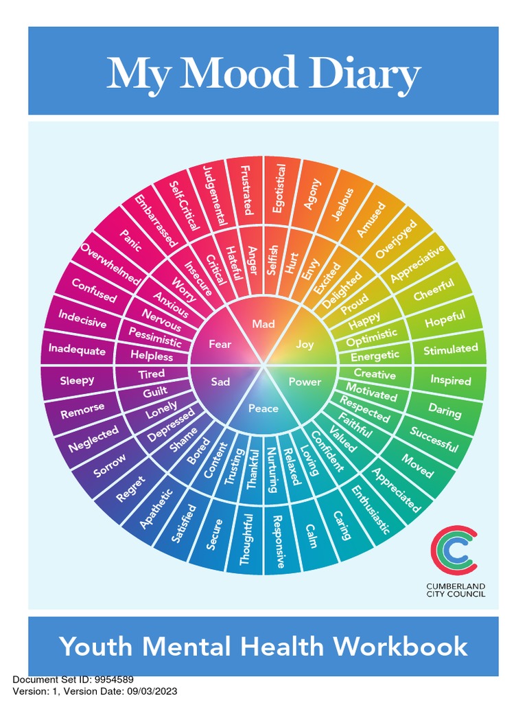Mental Health Workbook | PDF | Mental Disorder | Bipolar Disorder