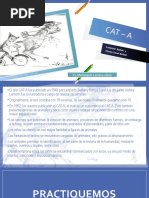 Explicación de Láminas CAT-H | PDF | Percepción | Trastorno de ansiedad