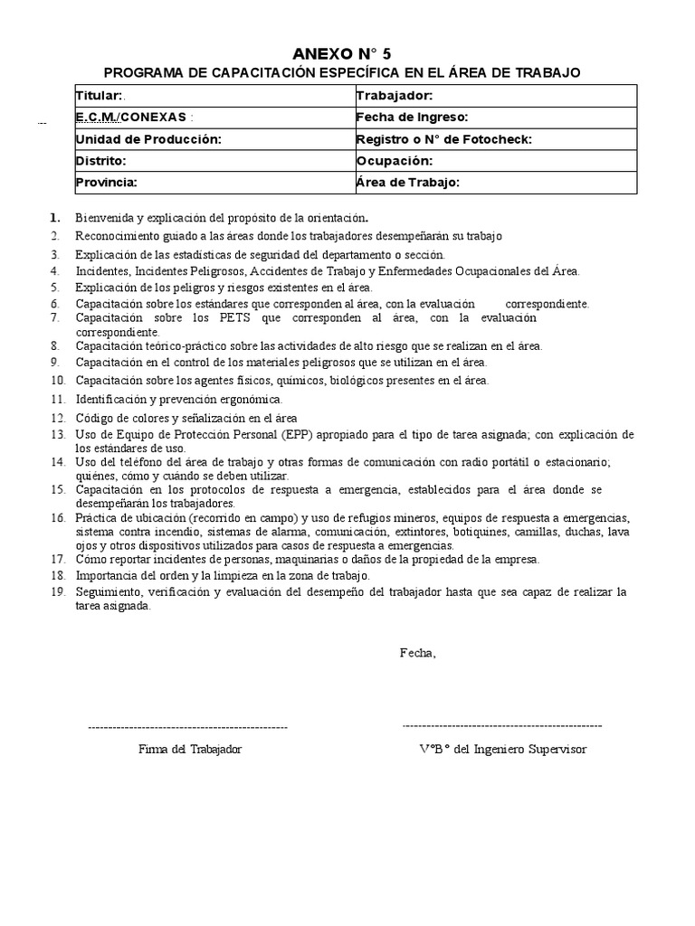 Formato Anexo 5 | PDF