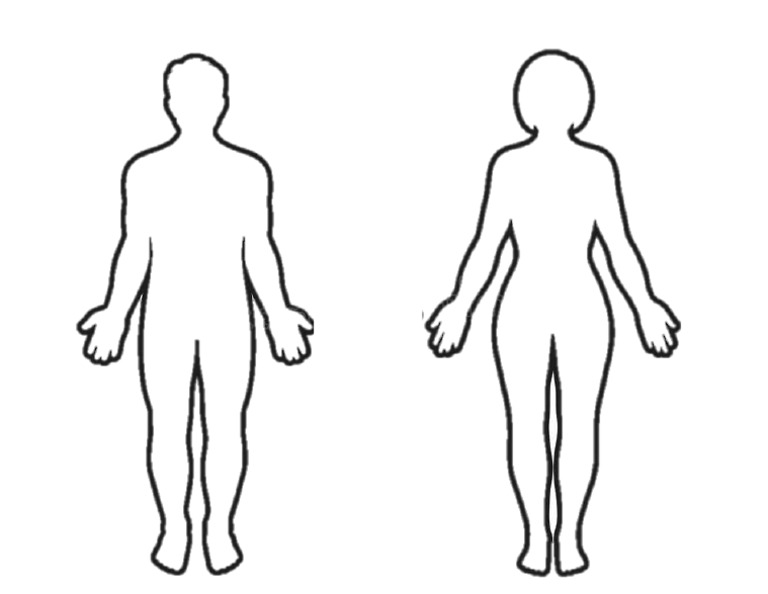 Silueta Humana | PDF