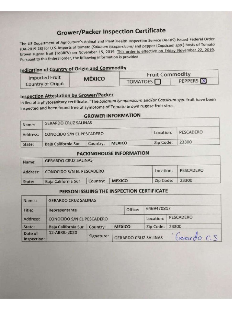 FORMATO CHILE | PDF