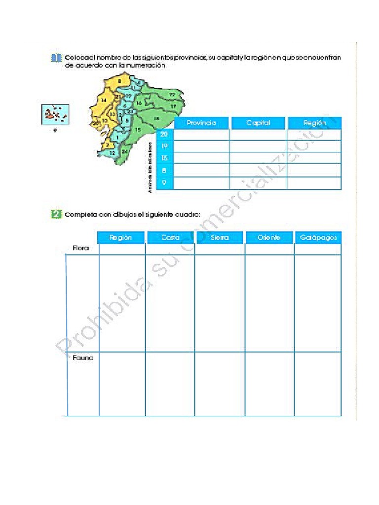 Flora y Fauna de Las Regiones Del Ecuador | PDF