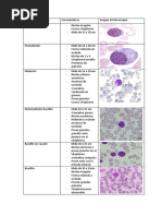 Práctica 12 RECUENTO DIFERENCIAL DE LEUCOCITOS | PDF | Leucocito | Biología