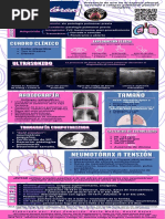 Signo de Mapache | PDF | Lesión | Medicina