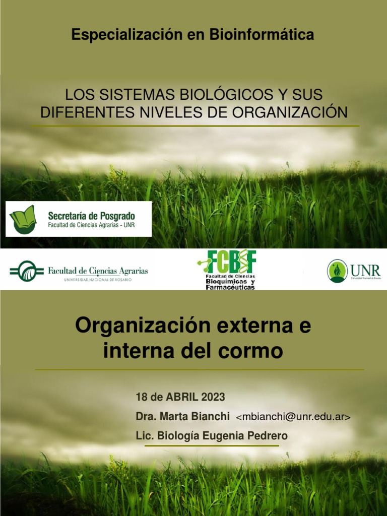 Tarde18.04.2023_Nivel Tisular y Orgánico_Organización Ext. e Int. Del ...