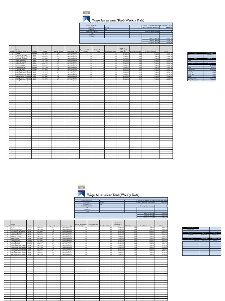 SAI Wage Assessment Tool - Master | PDF