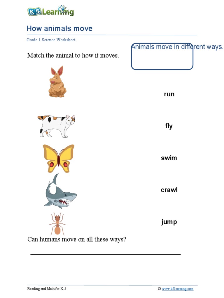 Grade 1 Animals Move B | PDF