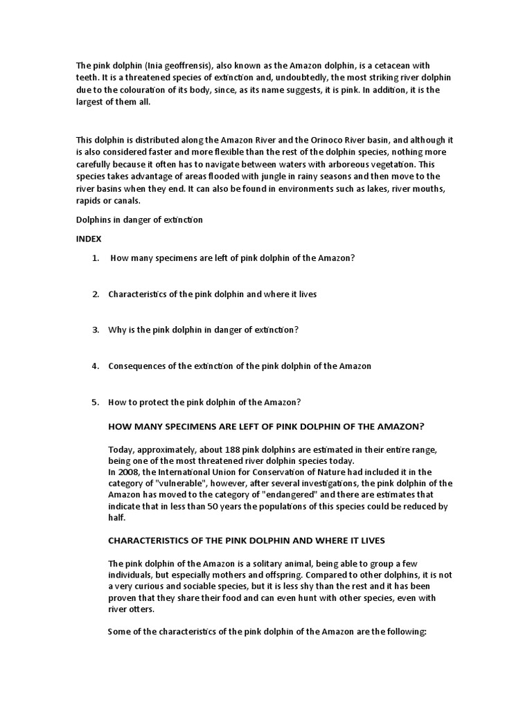 Save the Amazon Pink Dolphin | PDF