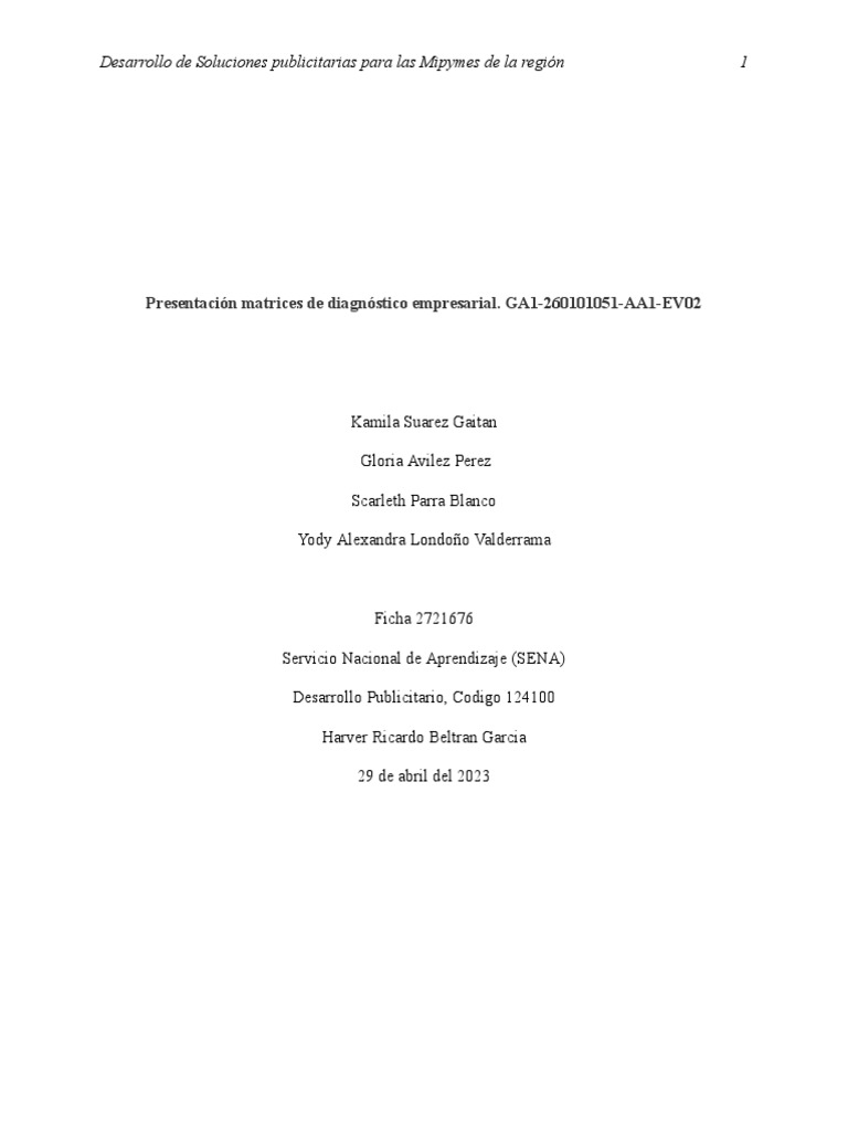 Presentación Matrices De Diagnóstico Empresarial Pdf Marketing
